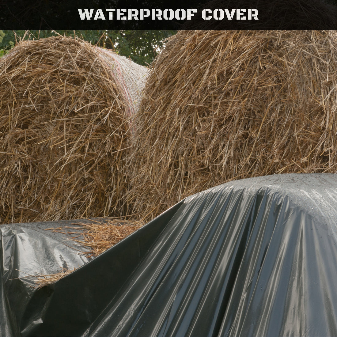 6 MIL Black Plastic Sheeting 20' x 100' – Roly Poly